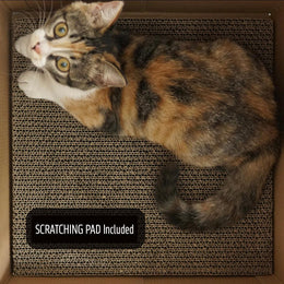 Cat Scratcher Milk Box House With Scratching Pad